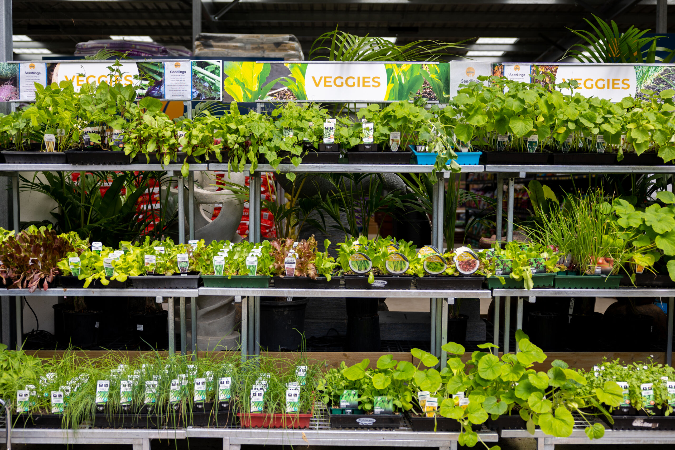 Coffs Harbour Nursery - Coffs Garden World